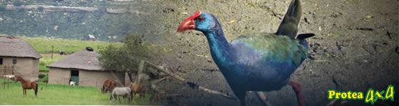 4x4 Safari Tours by Protea4x4